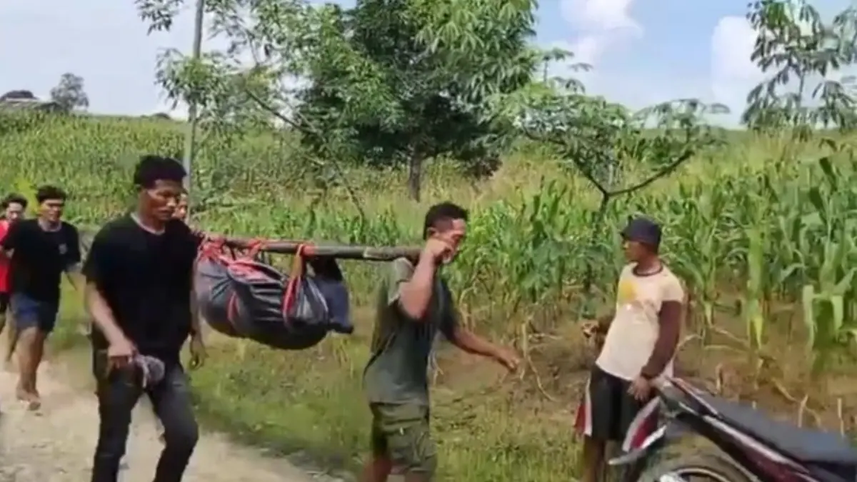 Bantu Bersihkan Jeroan Kurban di Sungai Comal, 2 Bocah di Pemalang ...
