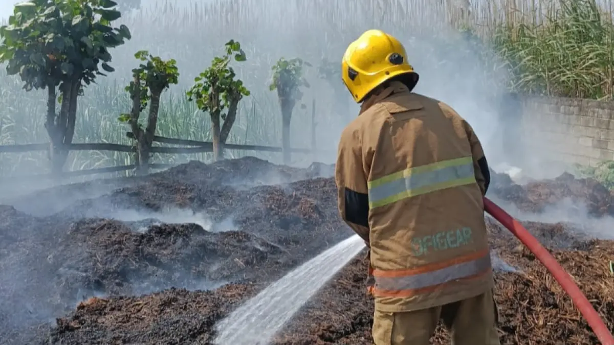 Sepah Tebu Terbakar, Pabrik Penggilingan Gula di Kandat Kediri Nyaris ...