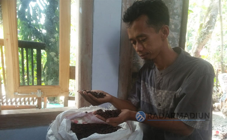 Agus Purwanto, Guru Honorer di Ngawi yang Juga Pengepul Biji Sengon