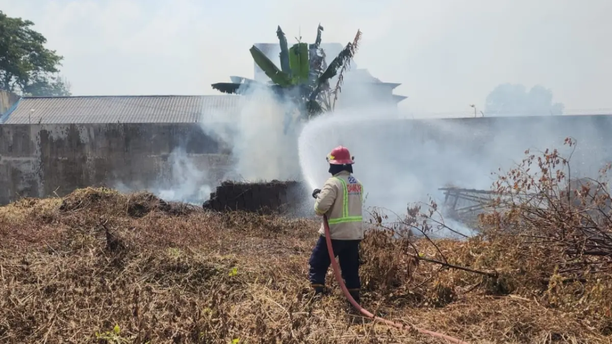 Musim Kemarau Mulai Melanda Kabupaten Malang, Damkar Minta Warga Stop ...