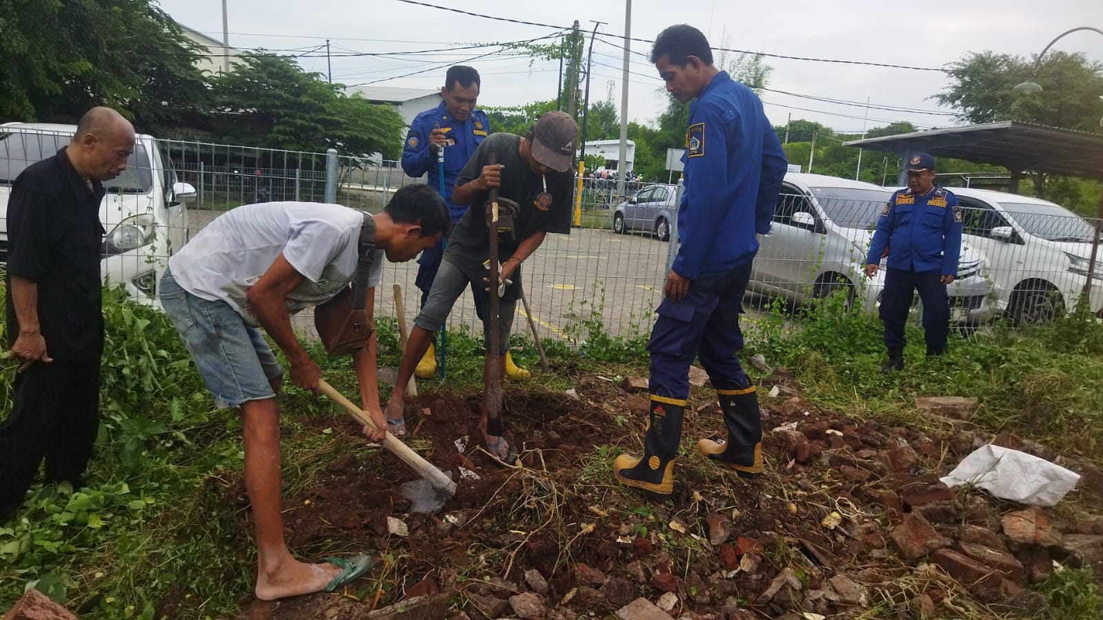 Gresik Darurat Ular, Petugas Damkarla Ratusan Kali Evakuasi Sejak Awal ...